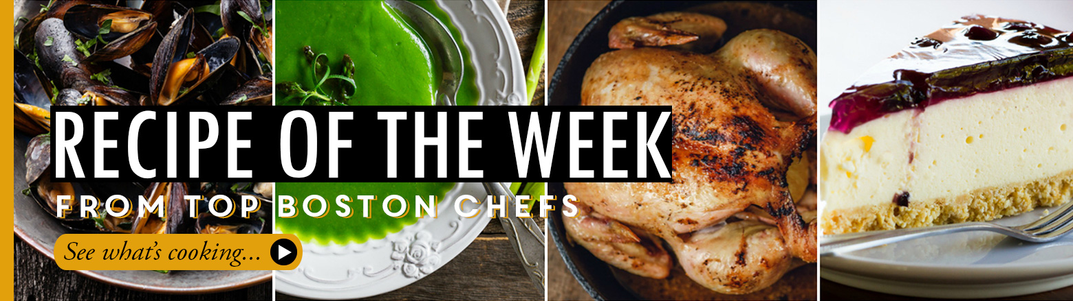 30+ Books from Boston's Top Cooks - Boston Chefs