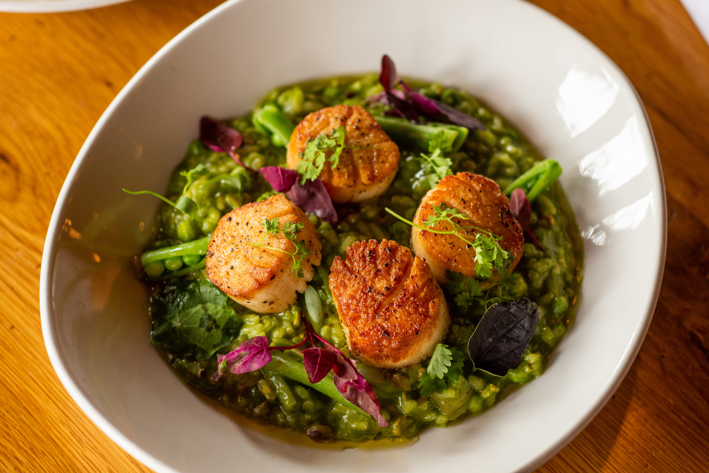 Capo Restaurant & Supper Club restaurant in Boston, MA on BostonChefs ...