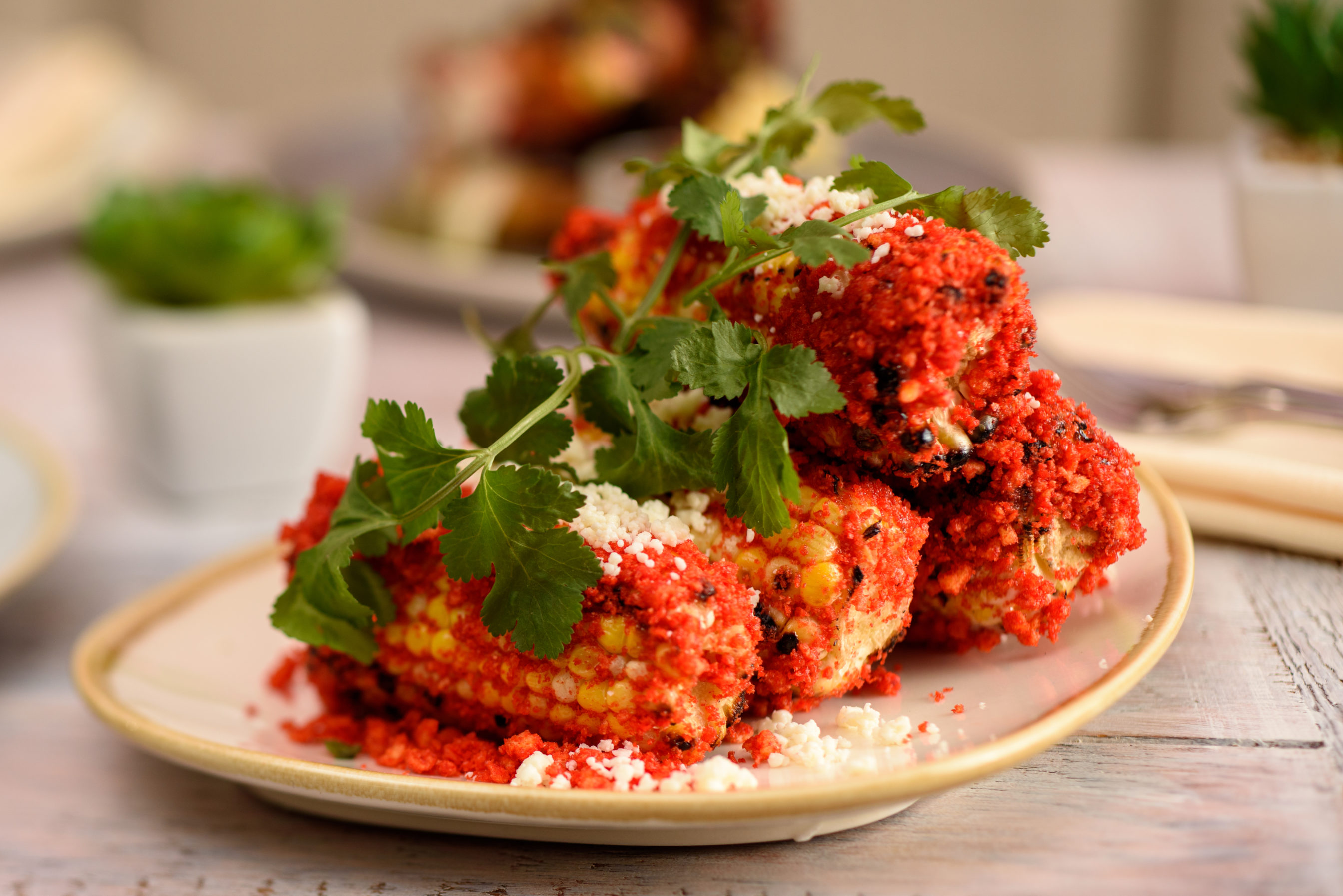 Citrus & Salt restaurant in Boston, MA on BostonChefs.com: guide to ...