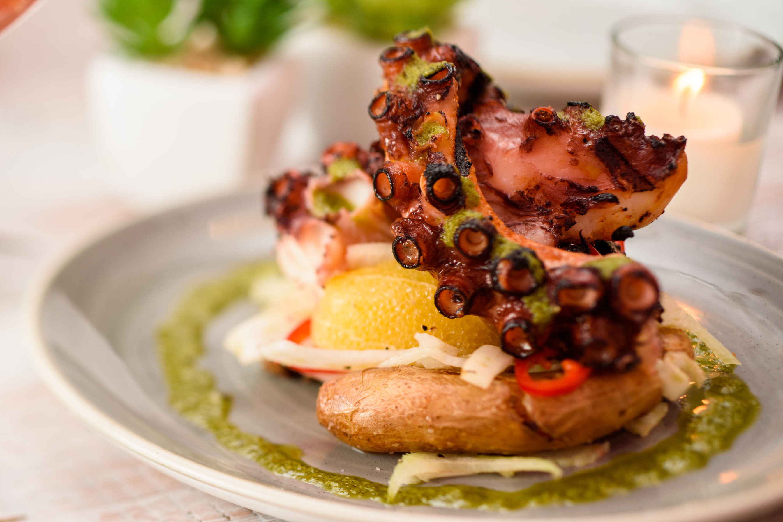 Citrus & Salt restaurant in Boston, MA on BostonChefs.com: guide to ...