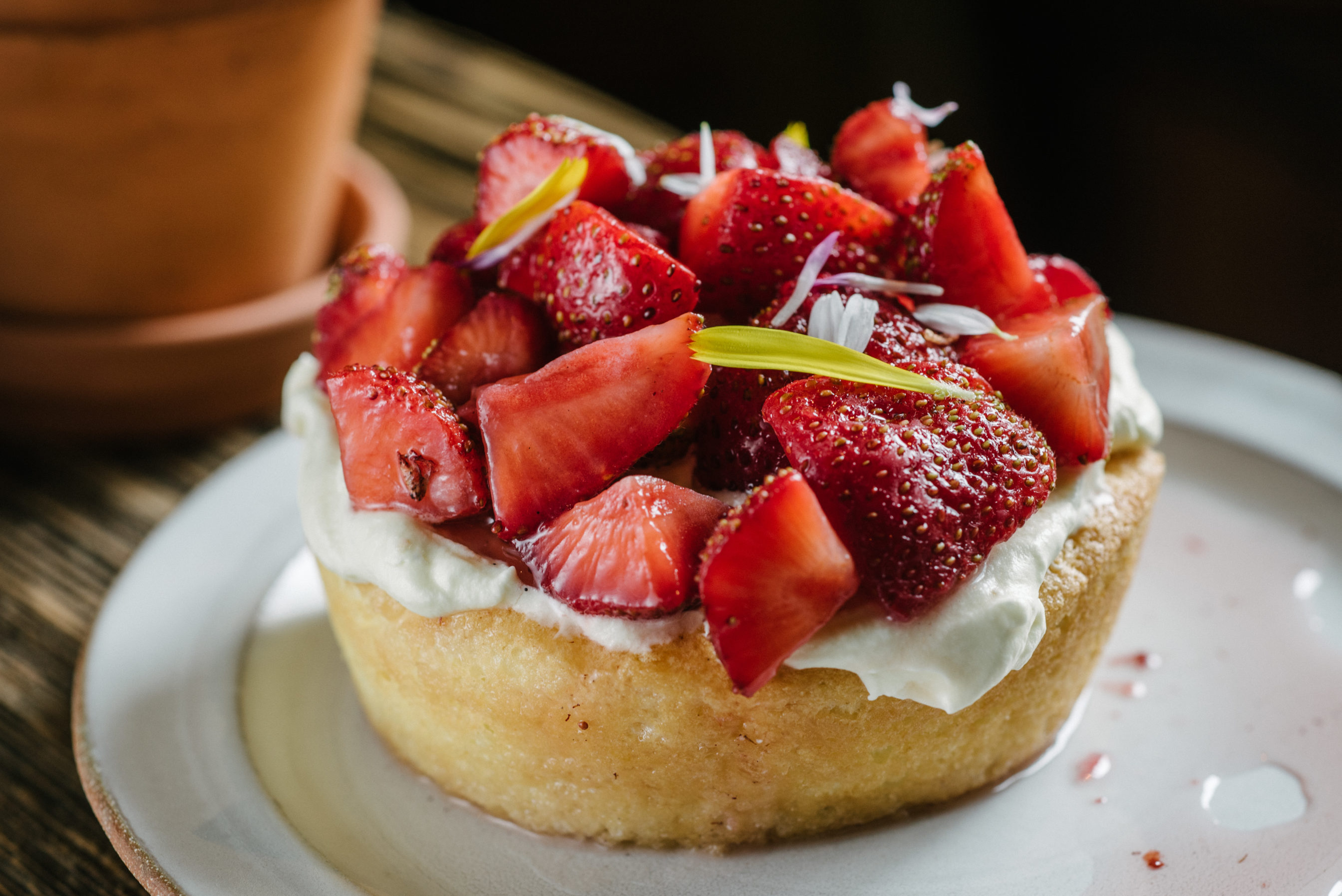 Field & Vine restaurant in Somerville, MA on BostonChefs.com: guide to ...