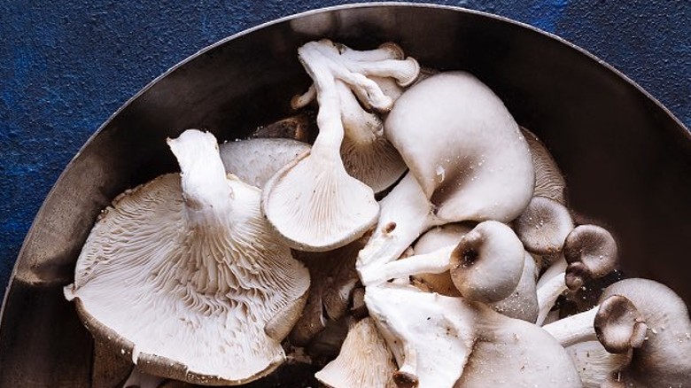 Talulla Mushroom Dinner - Boston Restaurant News and Events