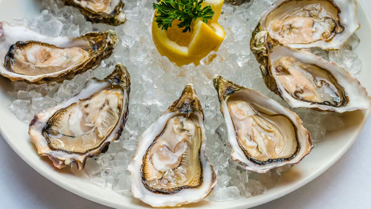 $1 Oysters at La Brasa - Boston Restaurant News and Events