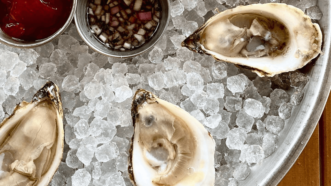 $1 Oysters at Alcove - Boston Restaurant News and Events