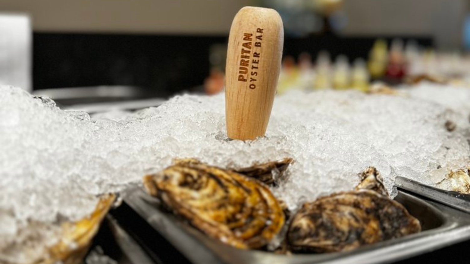 Learn to Shuck in 2025 - Boston Restaurant News and Events