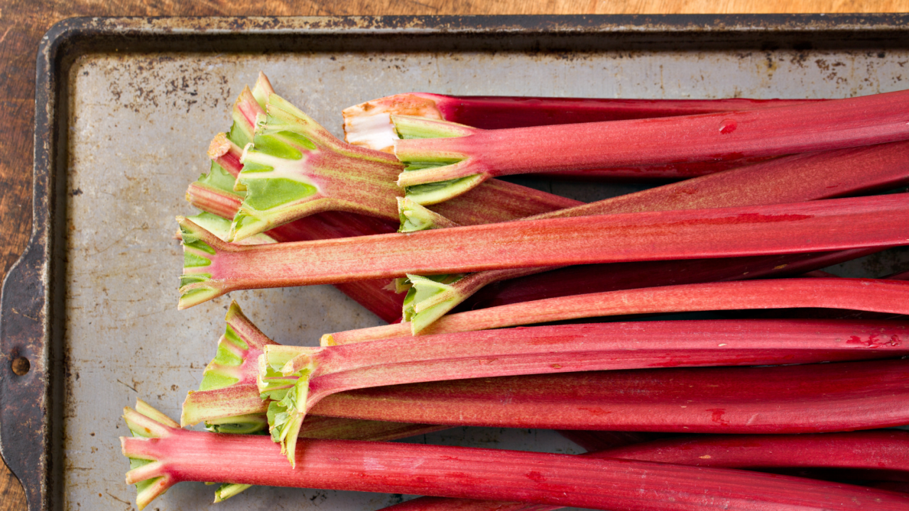 Rhubarb Takes Center Stage - Boston Restaurant News and Events