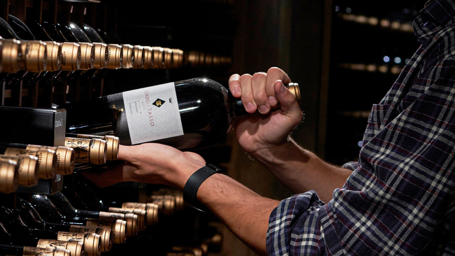 Villa Antinori Dinner at Davio's - Boston Restaurant News and Events