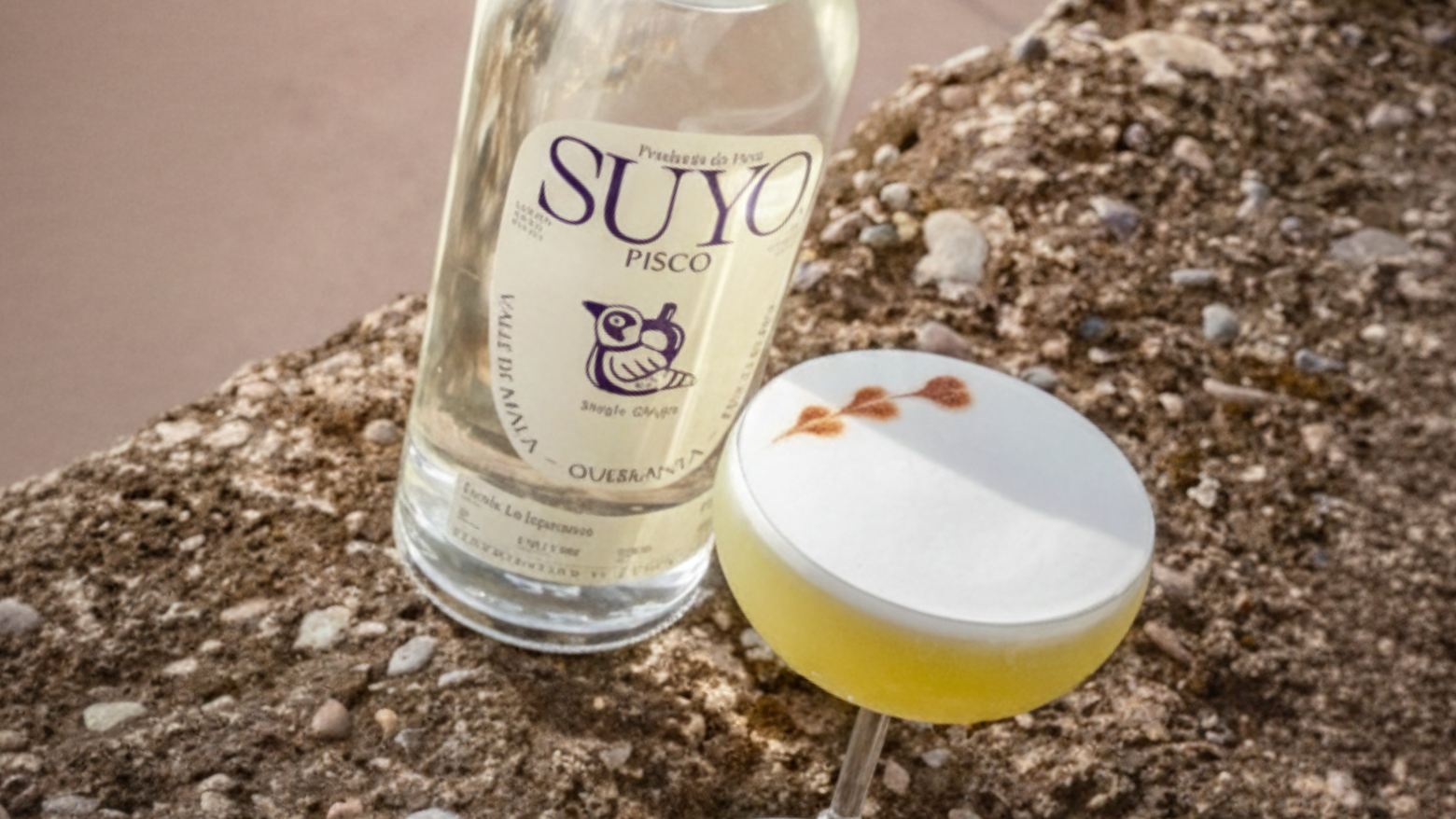 SUYO Pisco Passport - Boston Restaurant News and Events